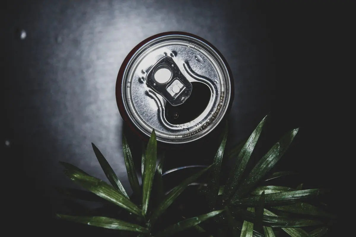 Exploring Alcohol-Free Alternatives: The Rise of CBD Seltzers ...